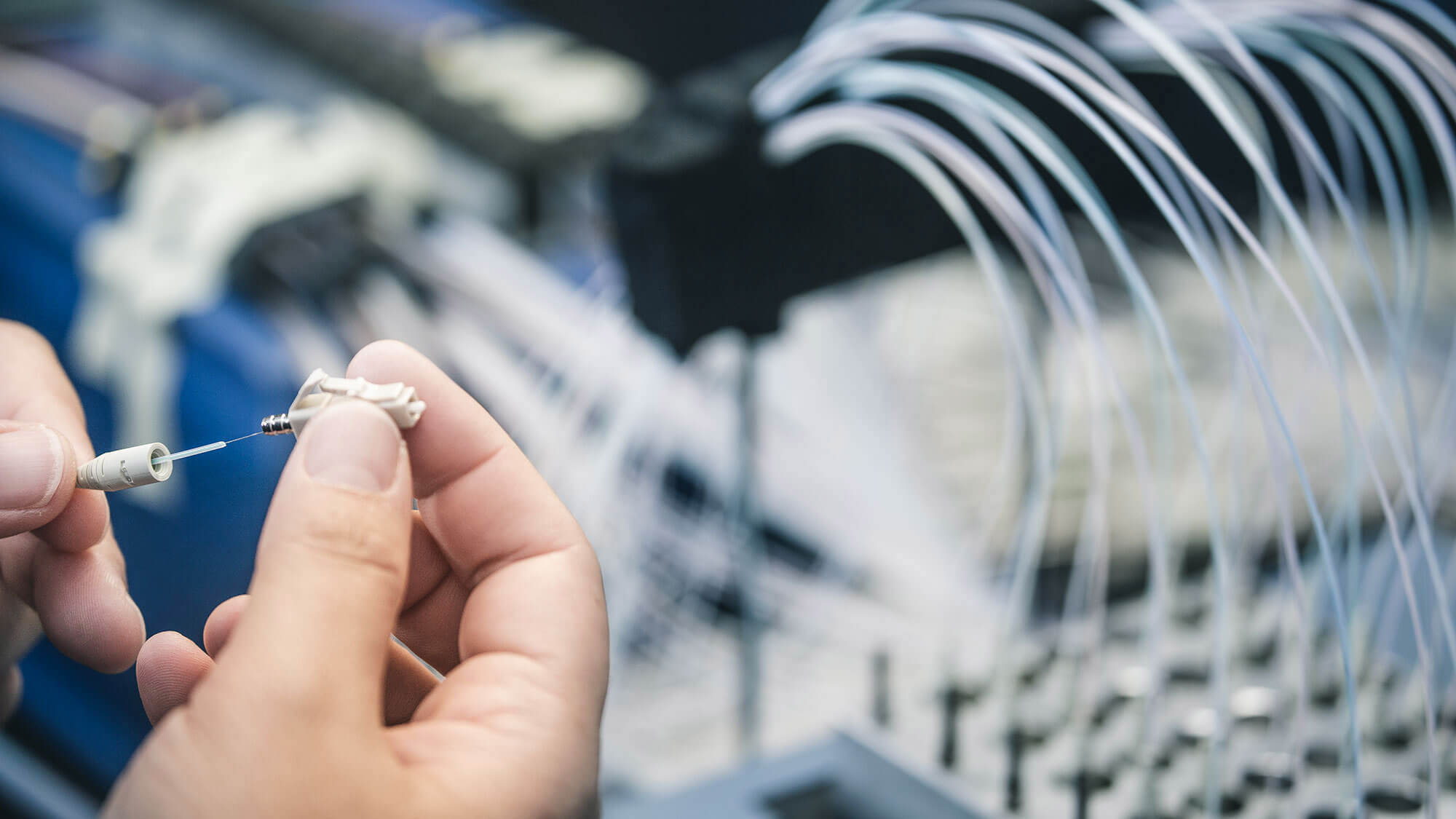 Areas of Expertise | Micropol
